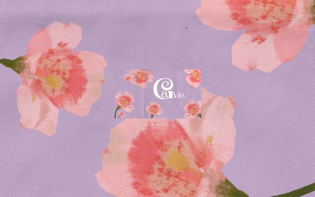 Dainty baby's catalogues